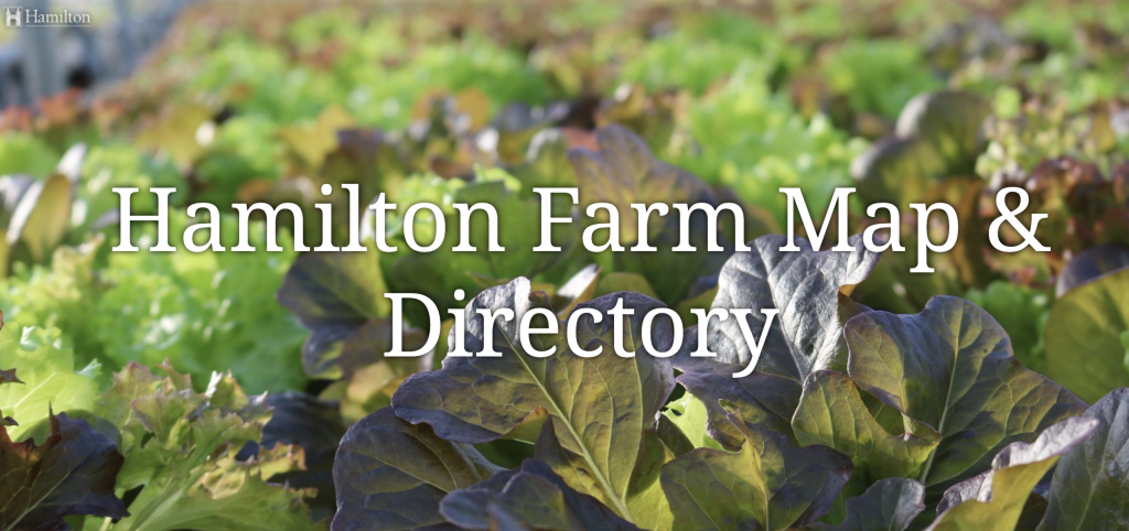 Finding Farm Fresh Across the Golden Horseshoe - Food and FarmingFood ...