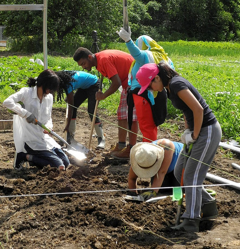 Public Land Putting Food on Our Plates, and Farmers on Our Soil: the ...