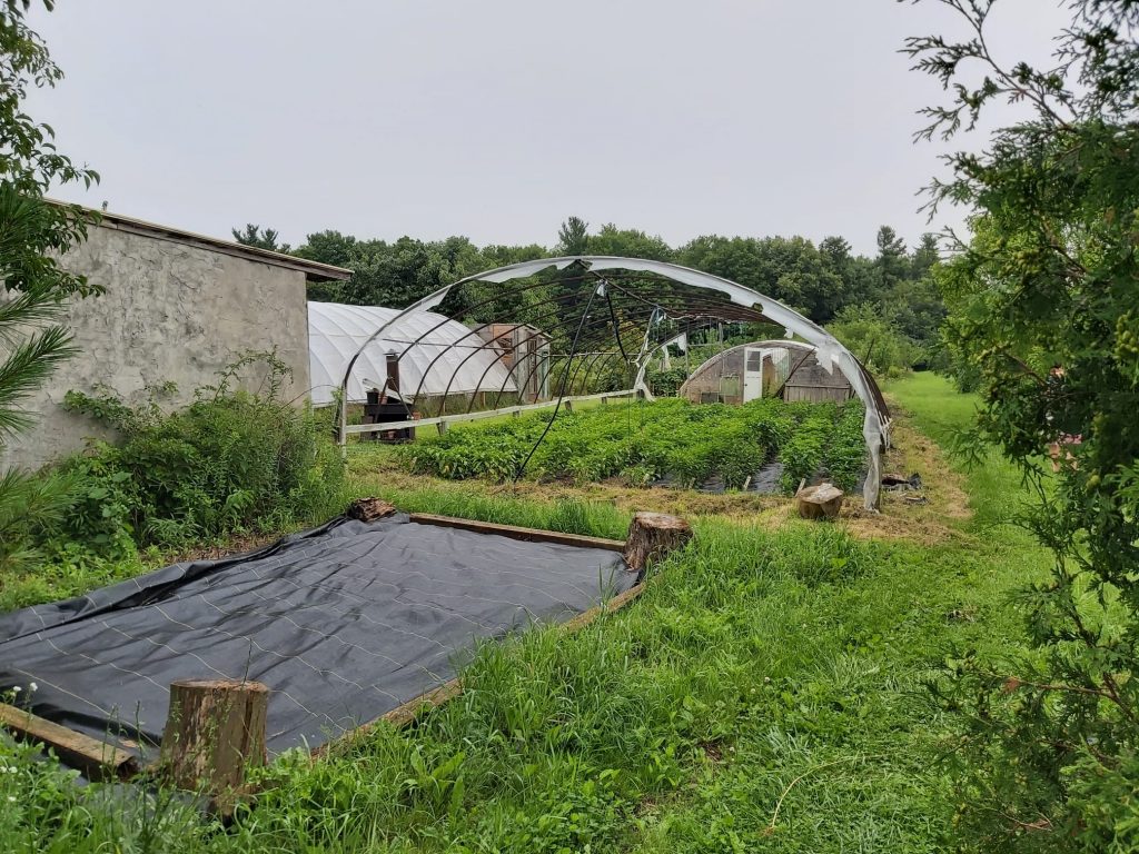 Farm Crawl Hamilton attracts visitors to learn about local food and ...