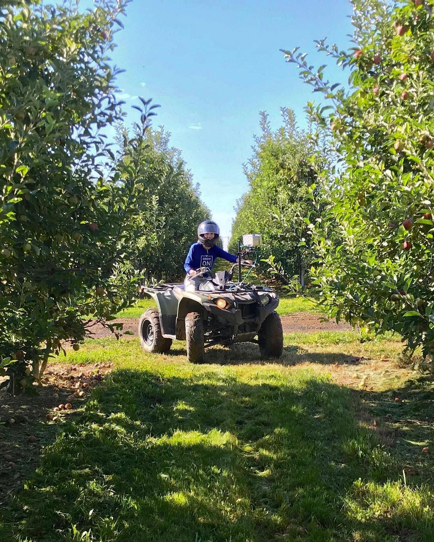 Revolutionizing Fruit Production and Reducing Waste with Vivid Machines ...